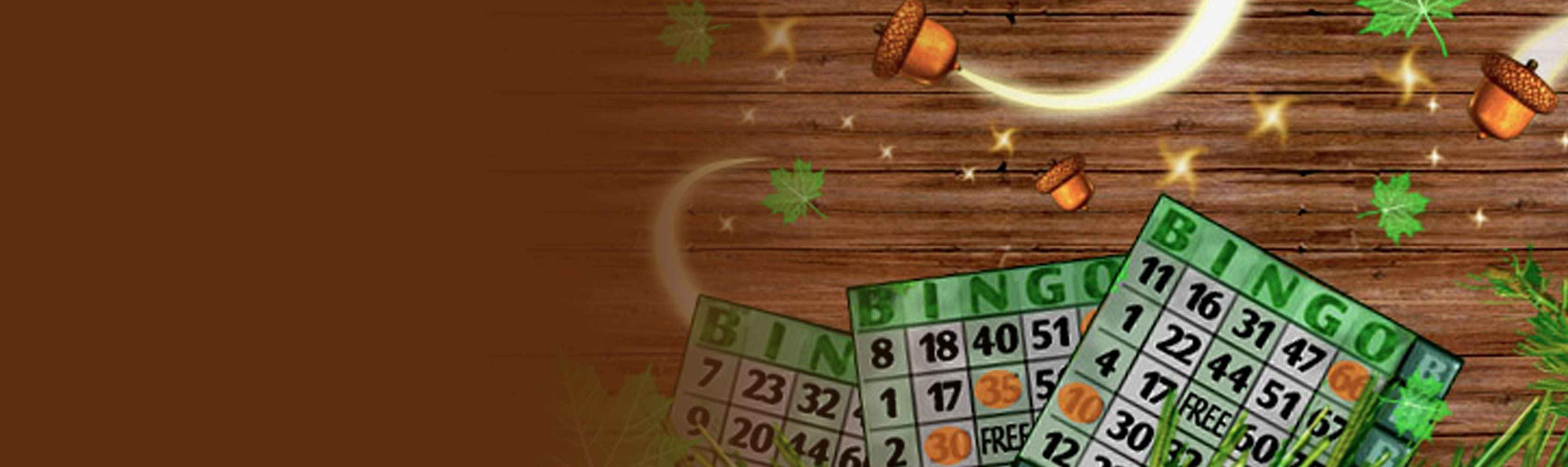 Everyone Wins Bingo | Online Bingo Games| Club Pogo